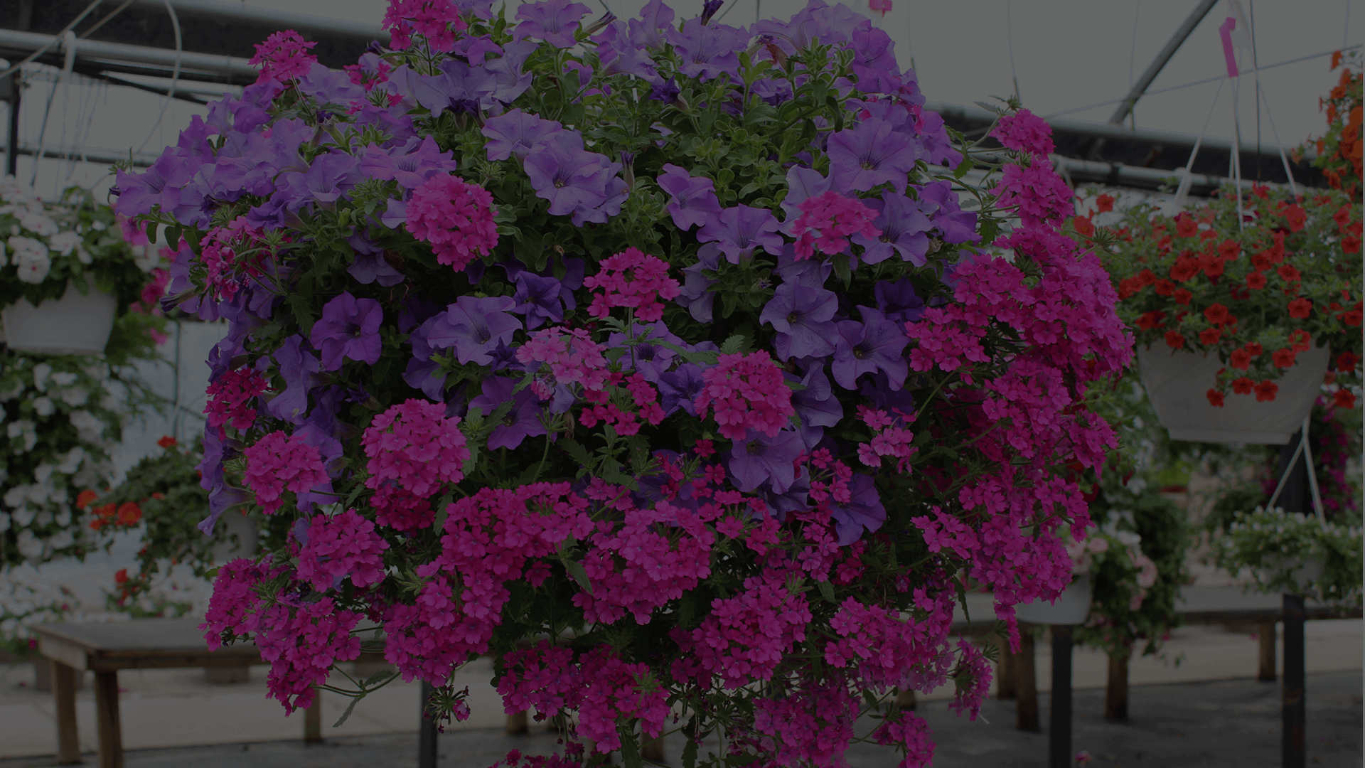 Keil's Produce and Greenhouse - Toledo Garden Center & Farmers Market